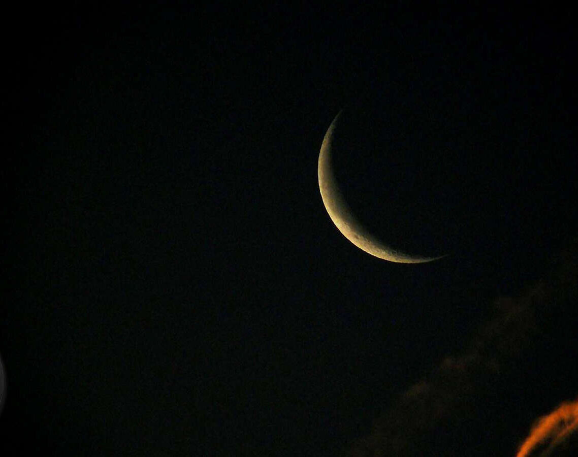 Flower of Love written by Oscar Wilde at Spillwords.com