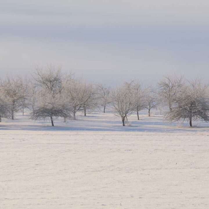 The Sadomasochistic Addiction at Spillwords.com