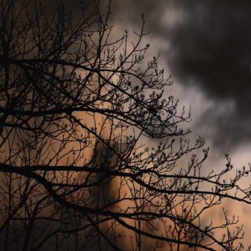 The Stitches, a haiku by Robyn MacKinnon at Spillwords.com