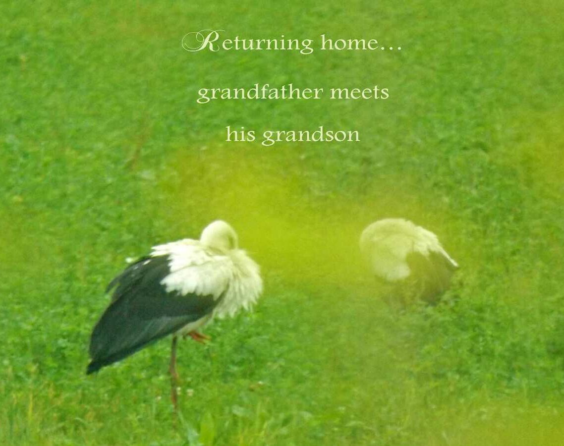 Maestro, micropoetry written by Rob J. Mann at Spillwords.com