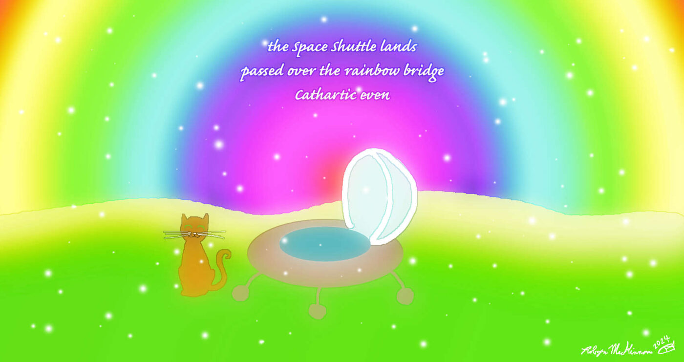 Space Shuttle Lands, a haiku by Robyn MacKinnon at Spillwords.com