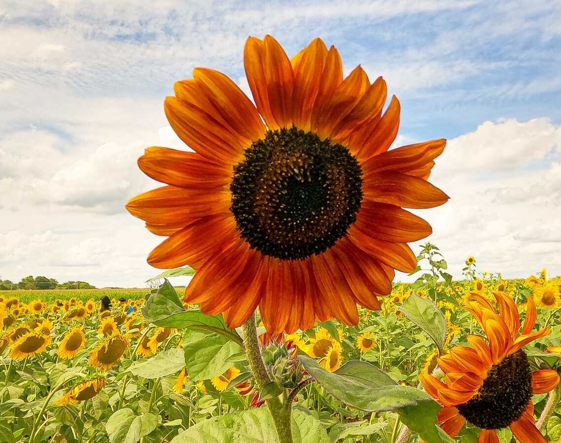 Beyond The Surface written by A Lone Poet at Spillwords.com