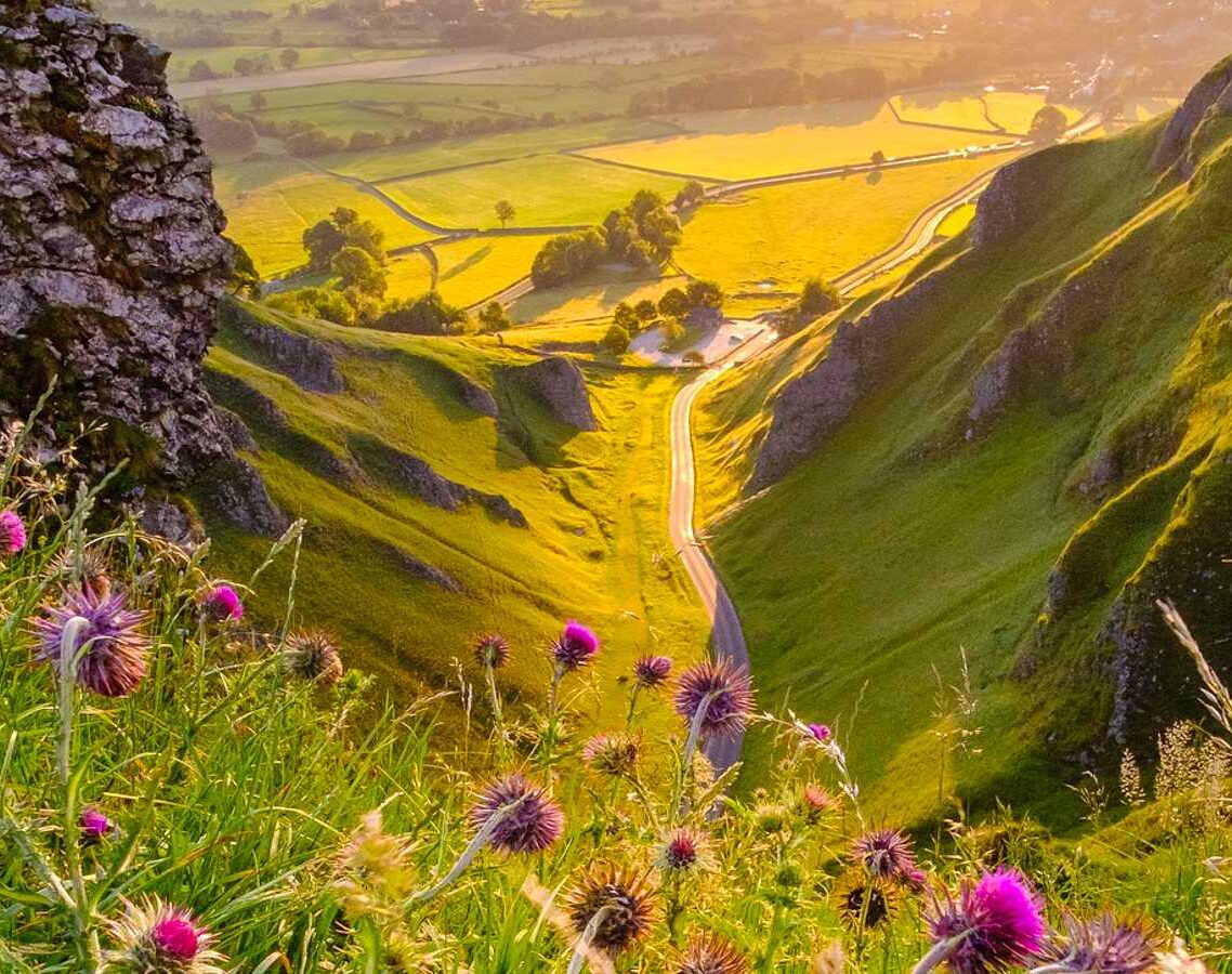 Let Me Carry Your Bones, a poem by Richard Green at Spillwords.com