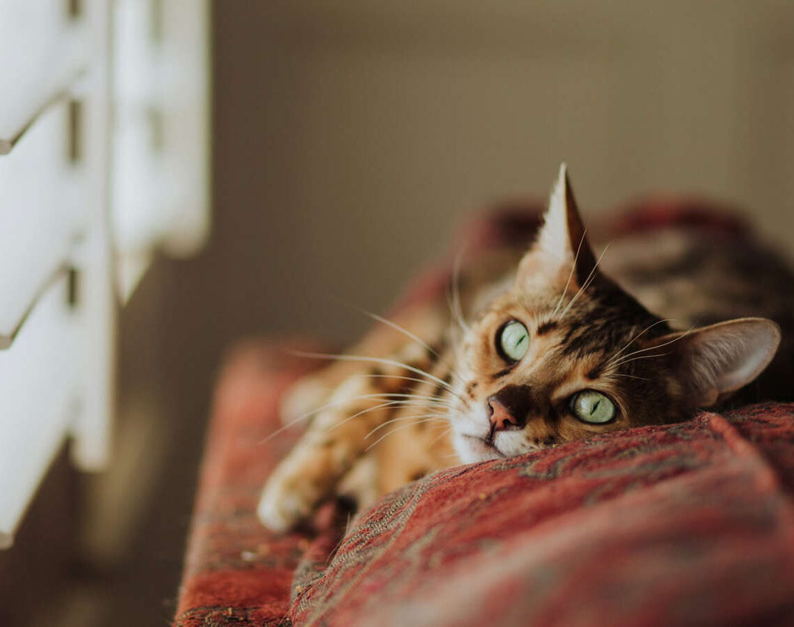 One Inch Tall by Shel Silverstein at Spillwords.com