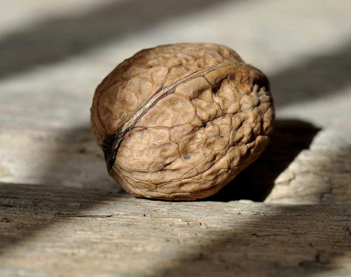 I Am Not Yours, a poem written by Sara Teasdale at Spillwords.com