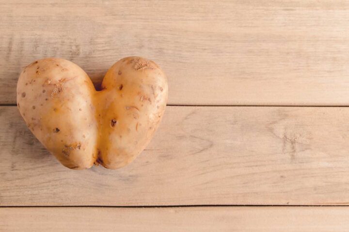 Along With Youth, a poem by Ernest M. Hemingway at Spillwords.com