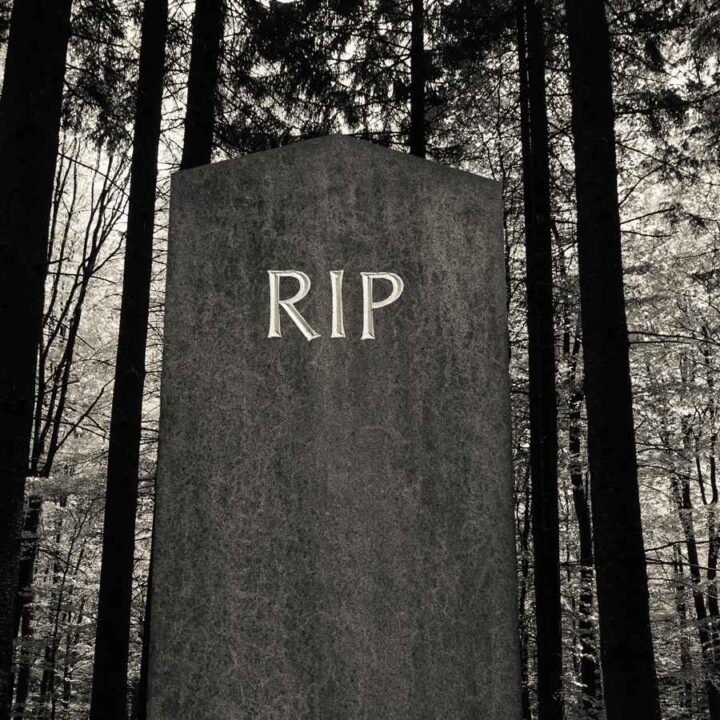 This skimming light by Hanno Cramer at Spillwords.com