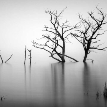 Life Game by Grace Zwane at Spillwords.com