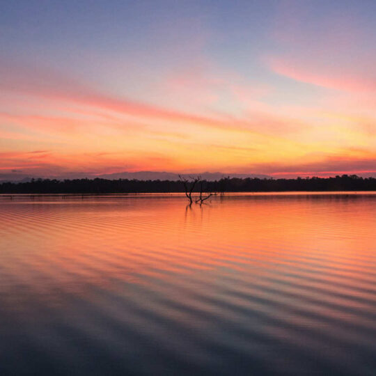 Mania written by Meghan Shultz at Spillwords.com