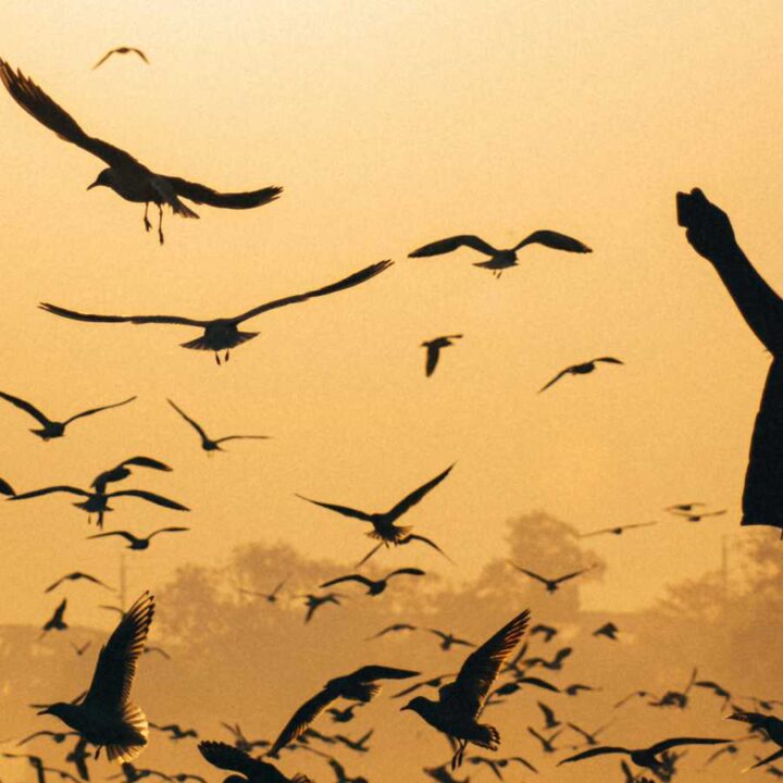 Quantum Query written by Aaron Marchant at Spillwords.com