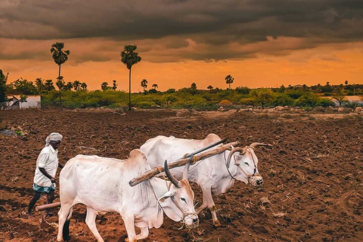 Frankenstein, His Monster ... at Spillwords.com