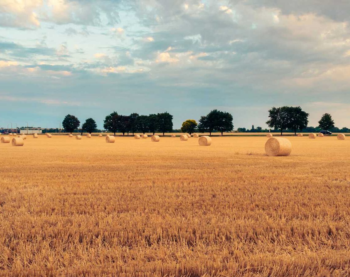 Scene of The Crime, a poem by Clive Grewcock at Spillwords.com