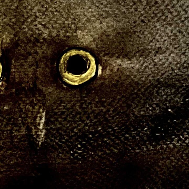 Together We Can, a poem by Kawsar Khalil at Spillwords.com