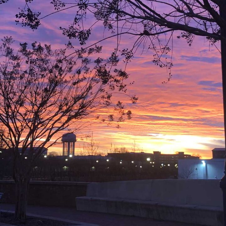 Irreplaceable, a poem written by refract reality at Spillwords.com