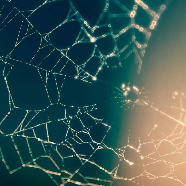 Mosaic, a poem by Linda M. Crate at Spillwords.com