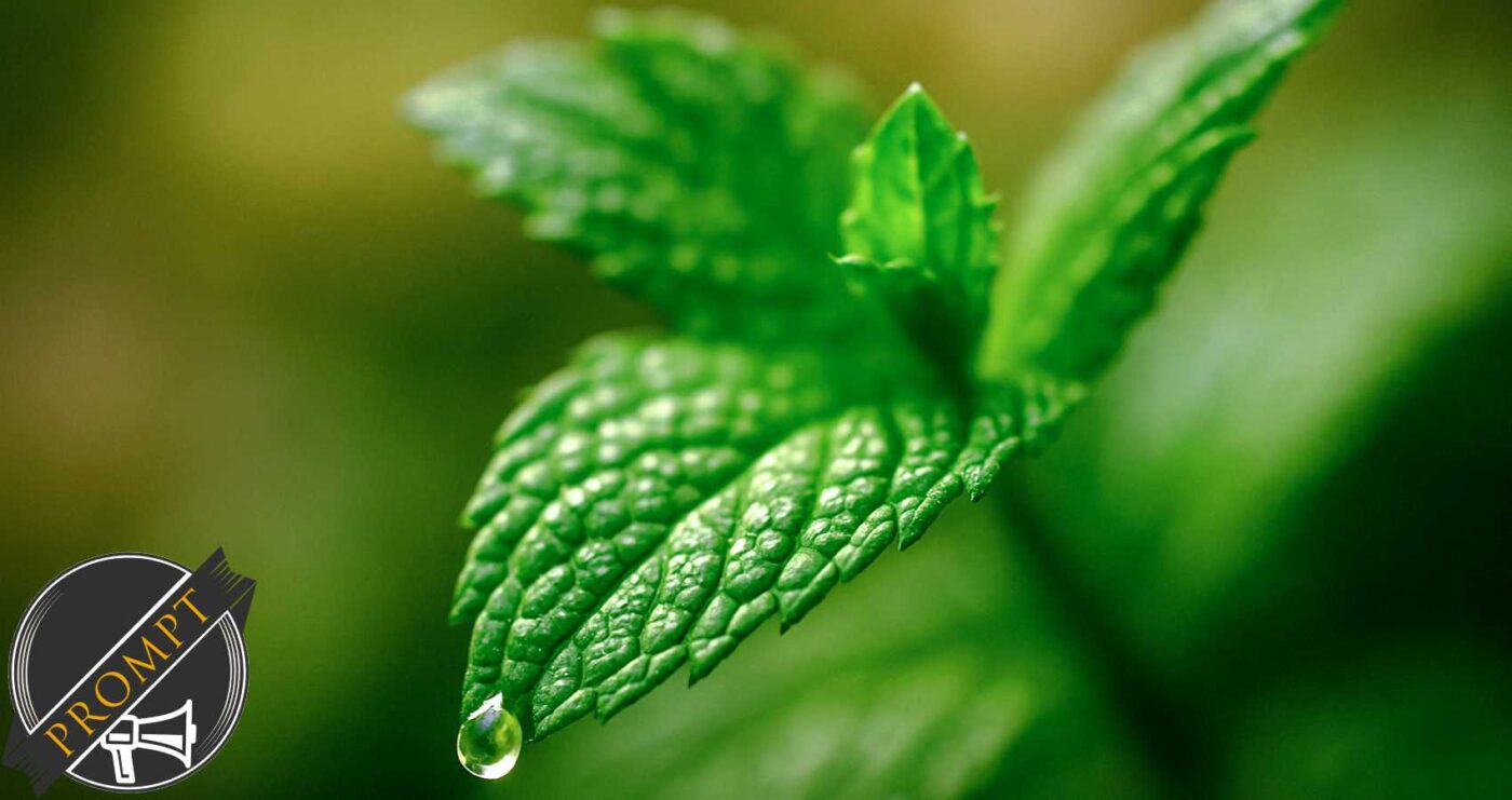 The Taste of Memory, a poem by Dawn Minott at Spillwords.com