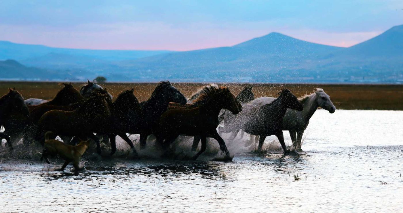 Dancing At The River by Min Annmay Chester at Spillwords.com