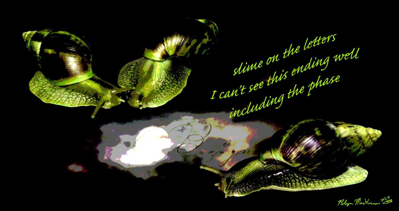 Postage Slime, a haiku by Robyn MacKinnon at Spillwords.com