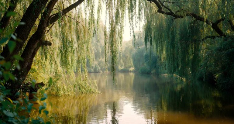 Richard, Do You Remember? a story at Spillwords.com