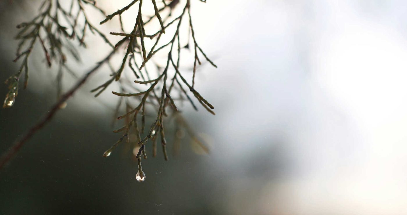 Tears in the Lines, a poem by Aileen D. Tacbalan at Spillwords.com